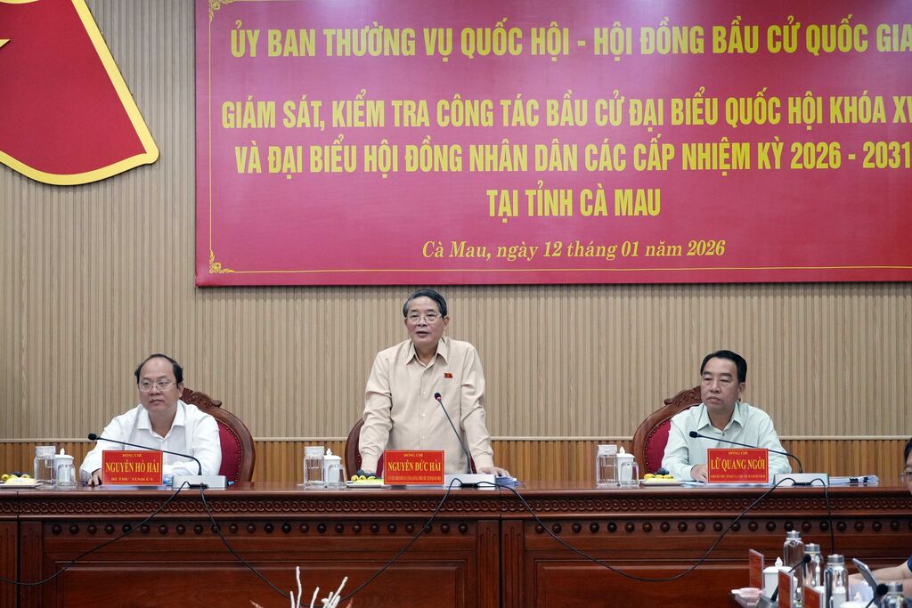 Élections législatives : un vice-président de l’AN supervise les ...