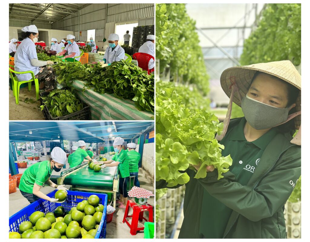 Le Vietnam intensifie l’attraction des fonds de capital-risque